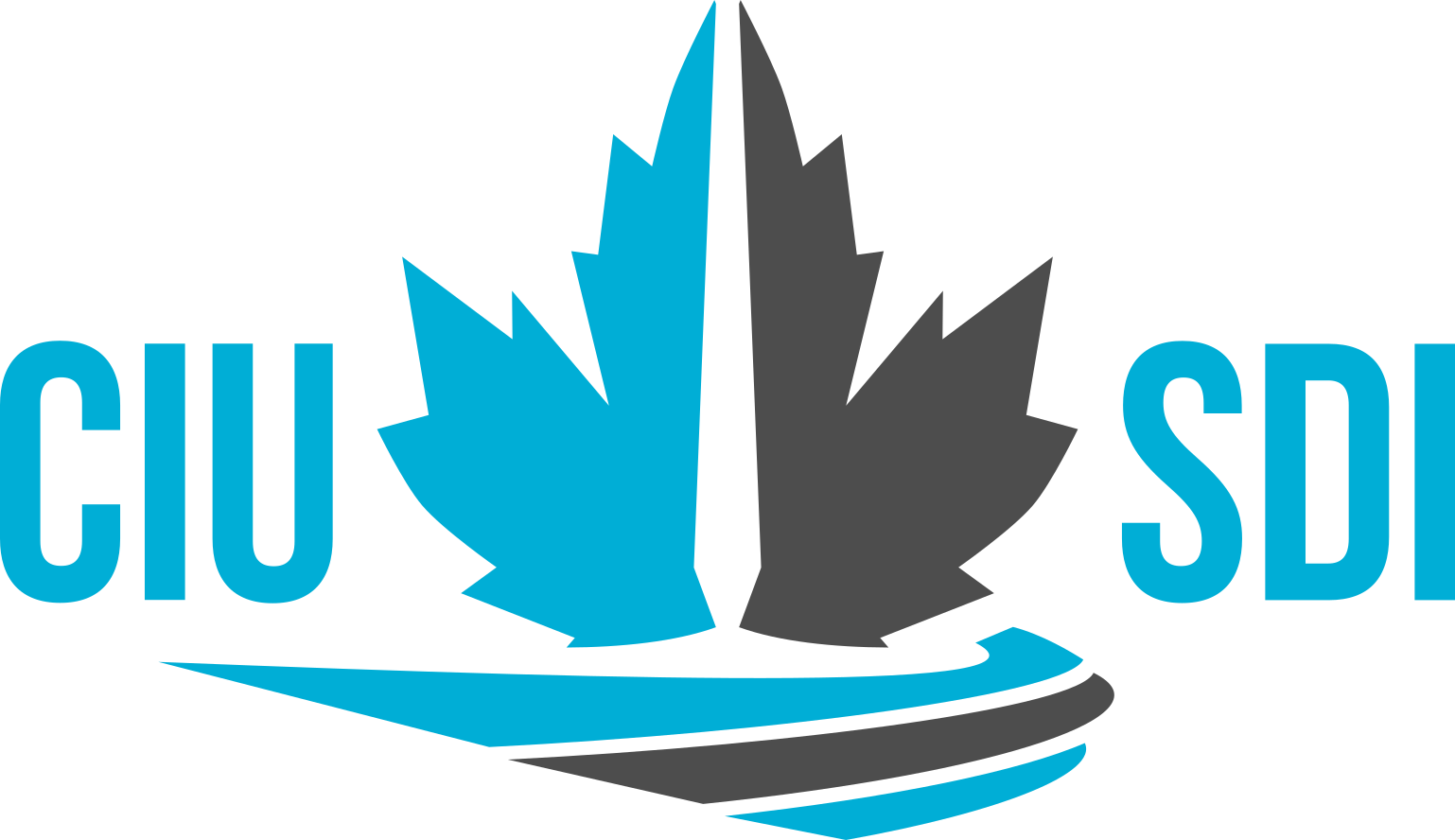 Announcing the 2024 CIU brand update: New logo, new colours, same drive ...